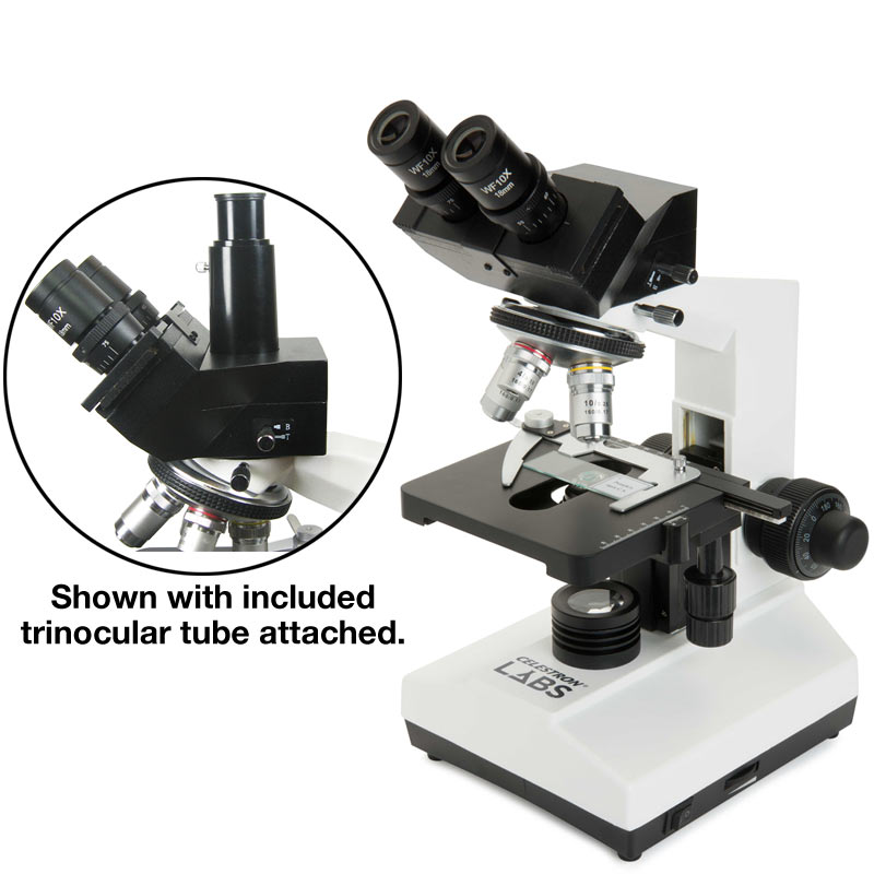 Binocular Compound Light Microscope Definition | Shelly Lighting Binocular Compound Light Microscope Definition | Shelly Lighting