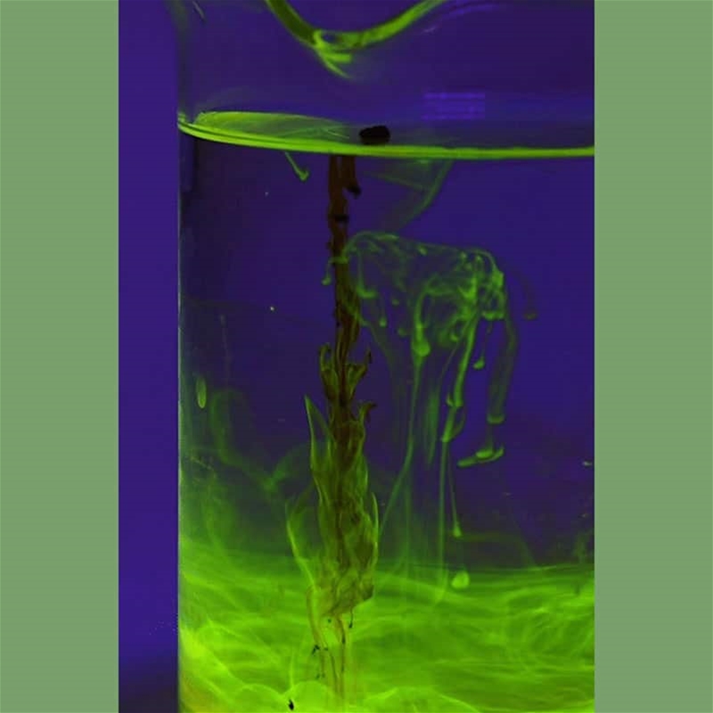 Fluorescein Sodium Salt Powder, 10g