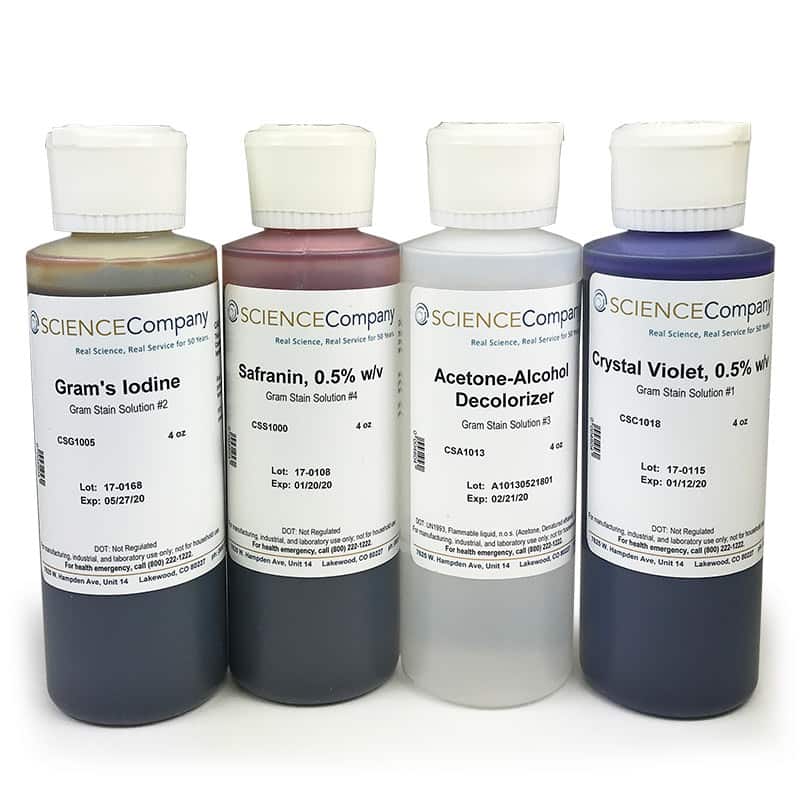 Gram Stain Set, 4 x 4oz bottles